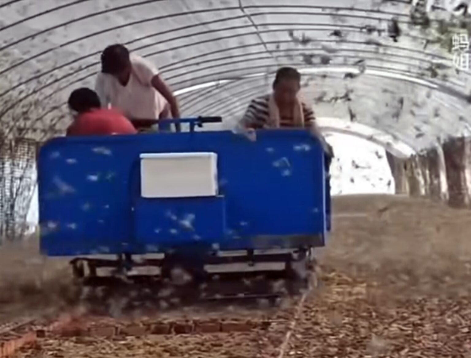 Cum arată o fermă de greieri. Subiectul făinii de insecte a aprins vii ...